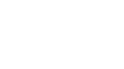 The Calinea Tower | Caloocan | Official DMCI Homes